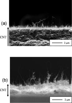 Effect of aging on field emission lifetime for carbon nanotube cathodes | Journal of Vacuum ...