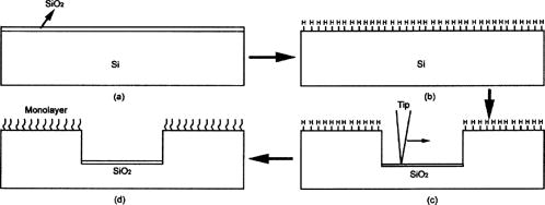 Controlled monolayer self-assembly process based on the atomic force ...