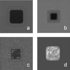 Image processing using shape recognition for alignment to damaged ...