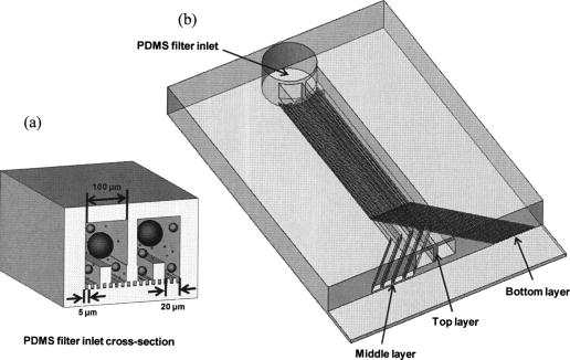 Lateral-flow particle filtration and separation with multilayer ...