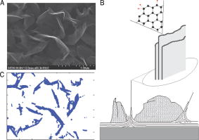 Hyperthermal atomic hydrogen and oxygen etching of vertically oriented ...