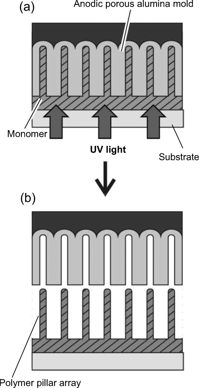 Fabrication of two-dimensional polymer photonic crystals by ...