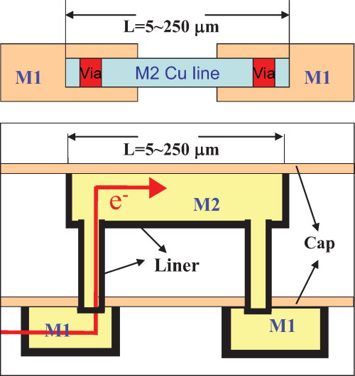 Line-width dependency on electromigration performance for long and ...