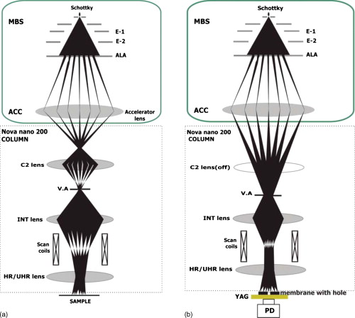 Multibeam scanning electron microscope: Experimental results | Journal ...