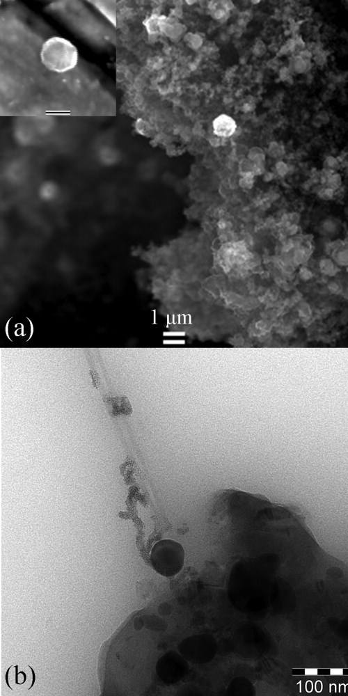 Field emission stability and properties of simultaneously grown ...