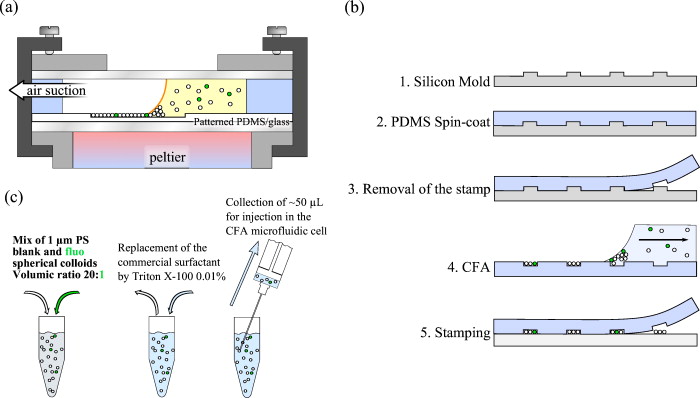 Colloidal optical waveguides with integrated local light sources built ...