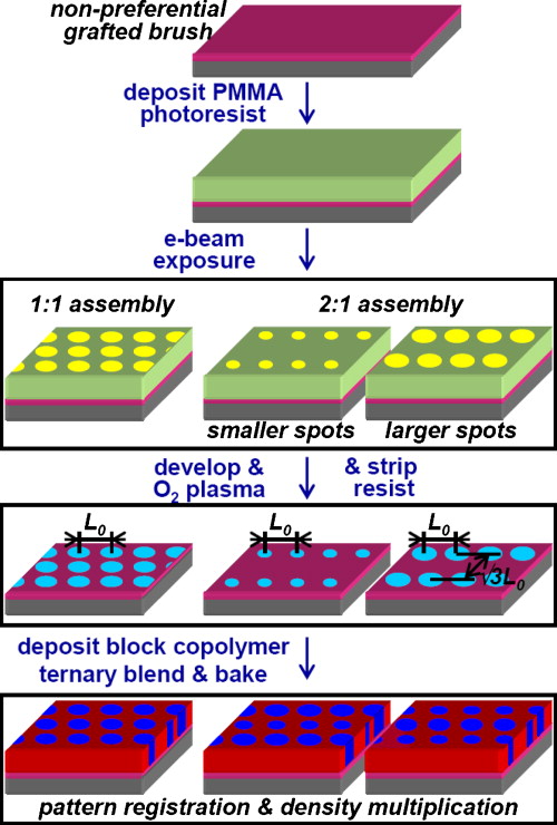 Shape control and density multiplication of cylinder-forming ternary ...