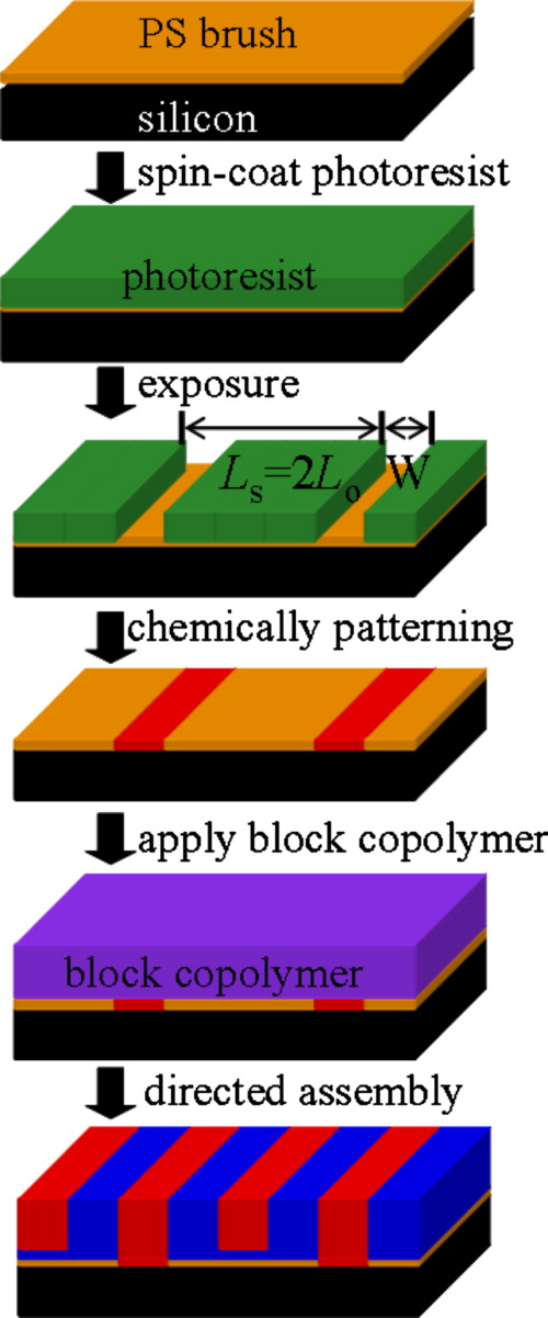 Mechanism and dynamics of block copolymer directed assembly with ...