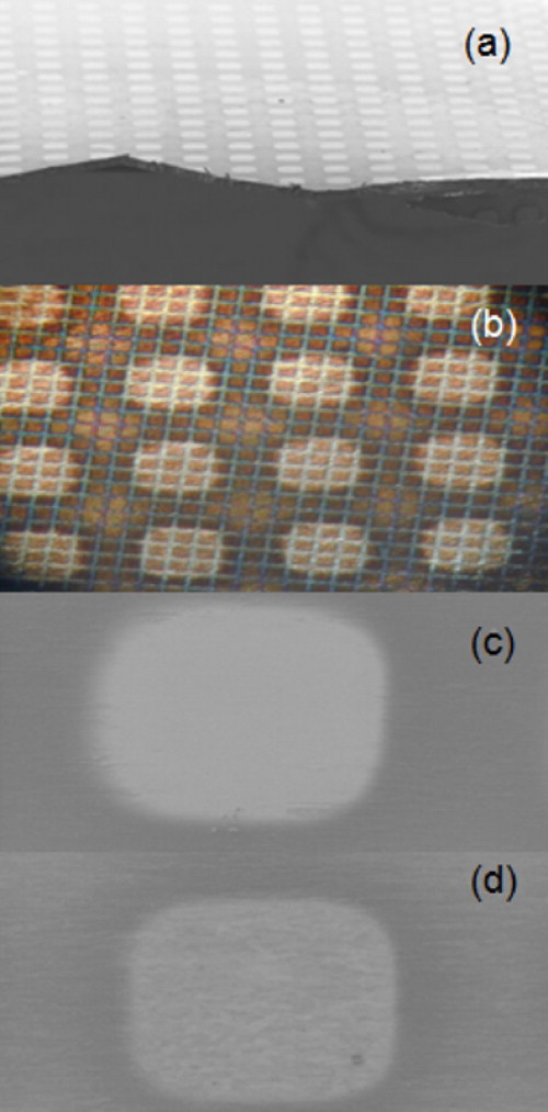 Model scandate cathodes investigated by thermionic-emission microscopy ...