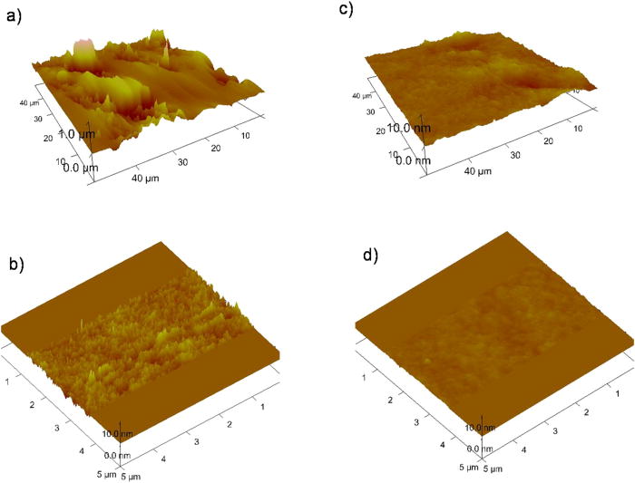 Nanofabrication down to 10 nm on a plastic substrate | Journal of ...