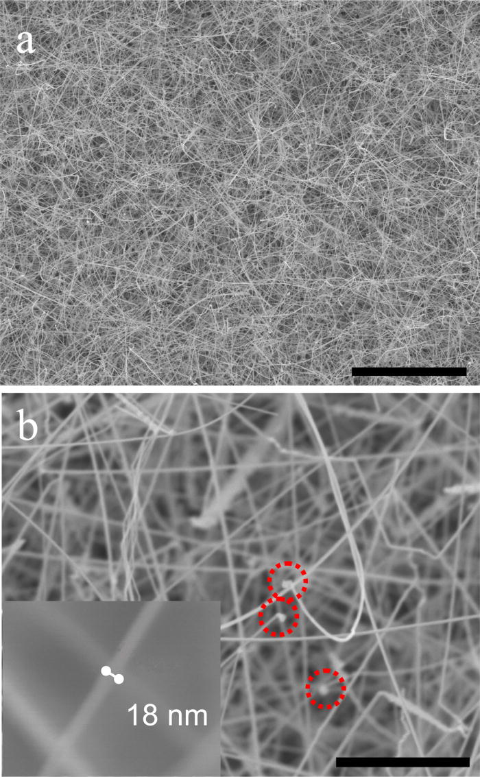 Modifying optical properties of GaN nanowires by Ga2O3 overgrowth ...