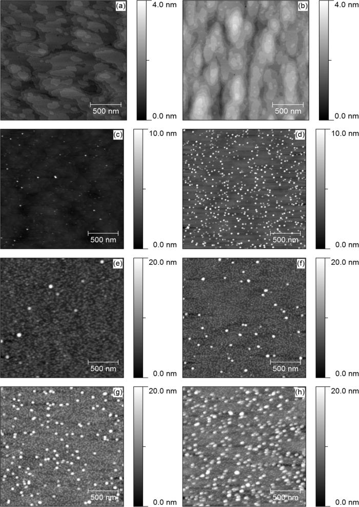 Formation and morphological evolution of InAs quantum dots grown by ...