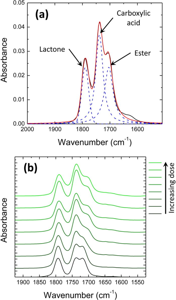 Relationship between film thickness loss and polymer deprotection for ...