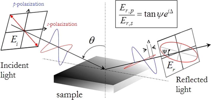 Nanoporous gold—Application to extraordinary optical transmission of ...