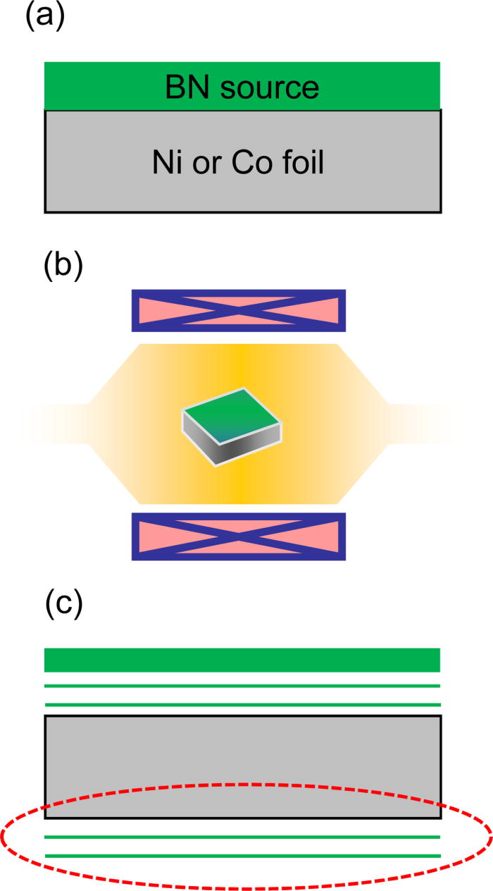 Boron nitride growth on metal foil using solid sources | Journal of ...