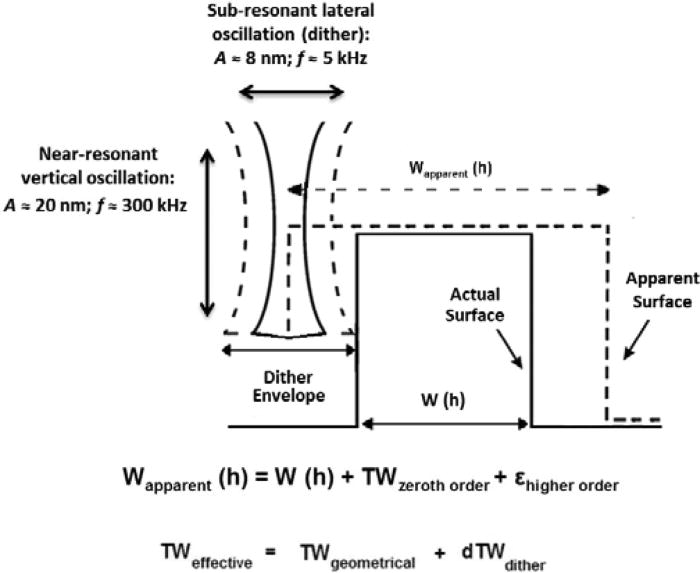 Interactions of higher order tip effects in critical dimension-AFM ...