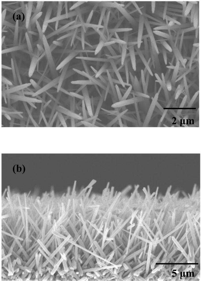 Efficiency of pyramid textured silicon solar cell with aqueous solution ...