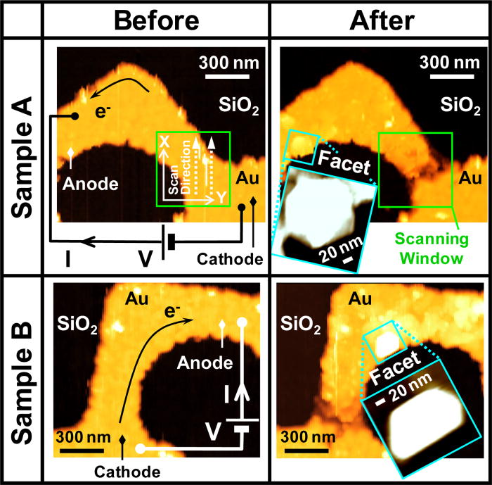 In situ atomic force microscopy imaging of structural changes in metal ...