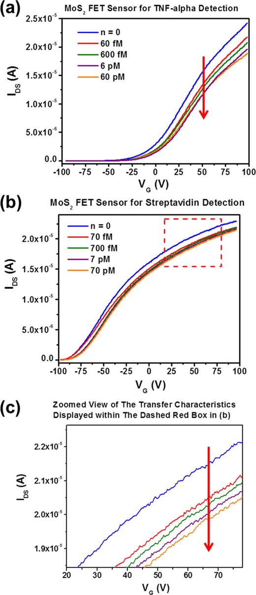 Fabrication and comparison of MoS2 and WSe2 field-effect transistor ...
