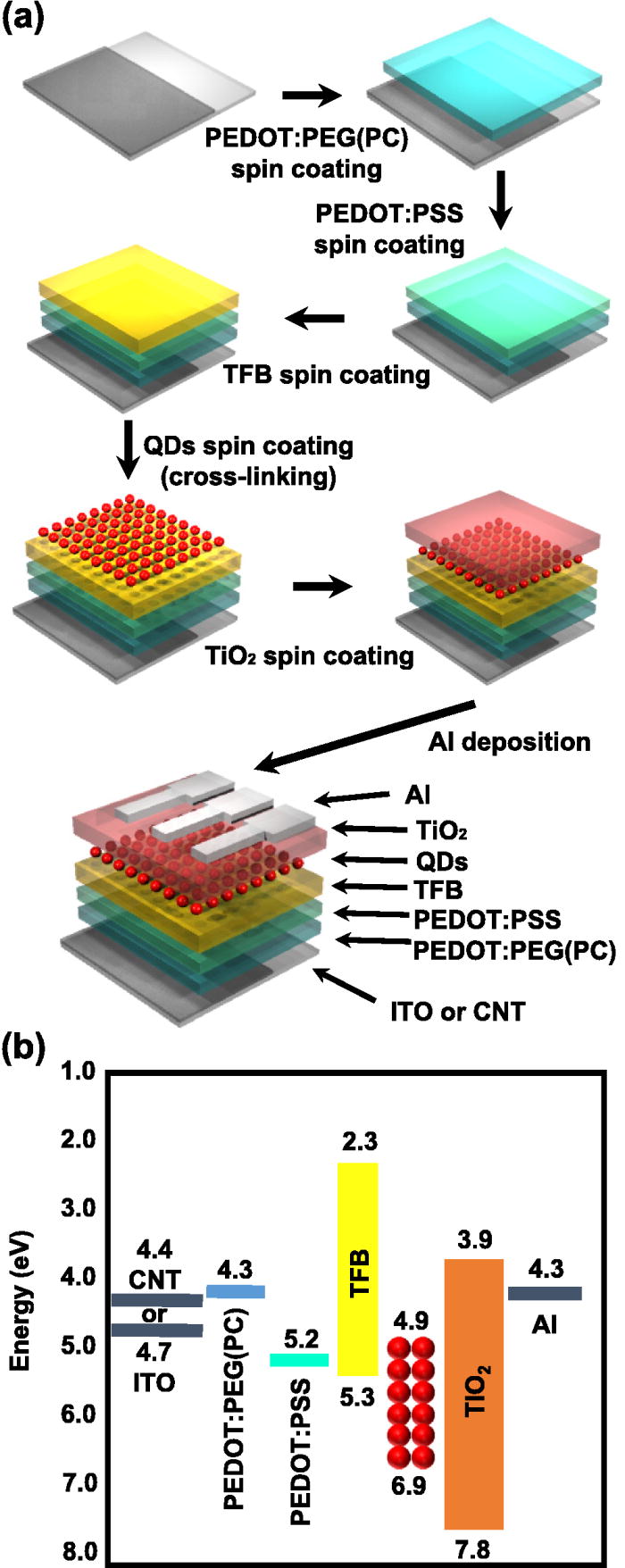 Quantum-dot light-emitting diodes with a double-layer structured hole ...
