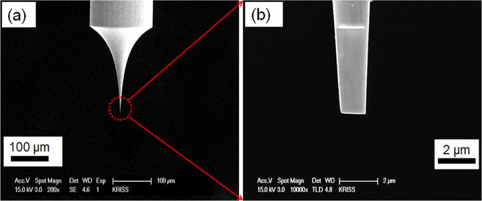 Multiwalled carbon nanotube field emitter as an electron source for a ...