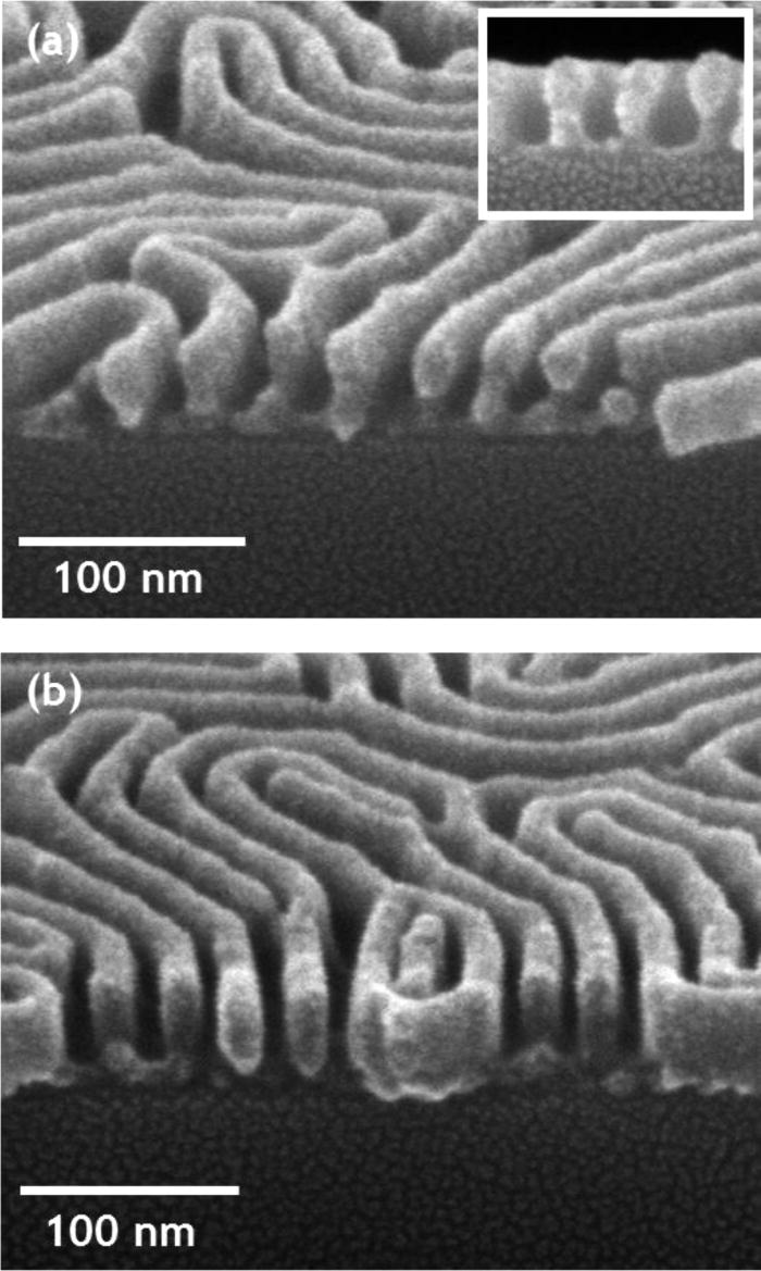 Plasma and photon interactions with organosilicon polymers for directed ...