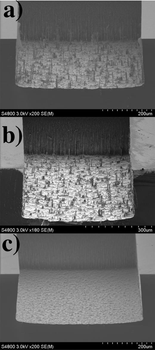 ScAlN etch mask for highly selective silicon etching | Journal of ...
