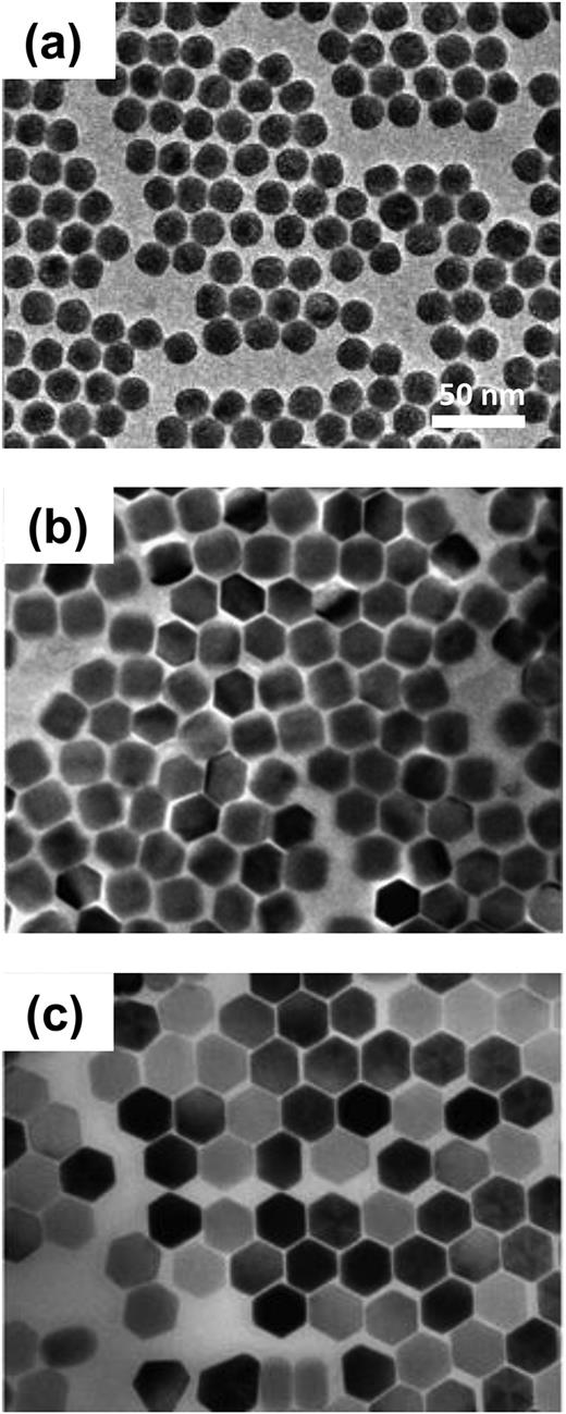 Future prospects of fluoride based upconversion nanoparticles for ...
