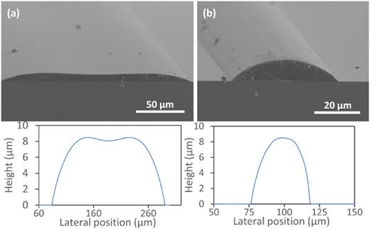 Neural network-based model of photoresist reflow | Journal of Vacuum ...