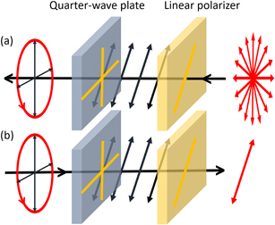 Mueller matrix ellipsometry study of a circular polarizing filter ...