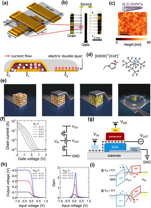 Opportunities for ionic liquid/ionogel gating of emerging transistor ...