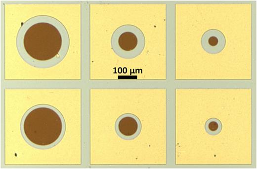 Titanium diffusion in Si/Al2O3/Ti/Au metal oxide semiconductor ...