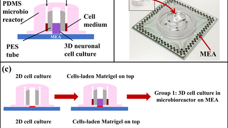 Long-term brain-on-chip: Multielectrode array recordings in 3D neural ...
