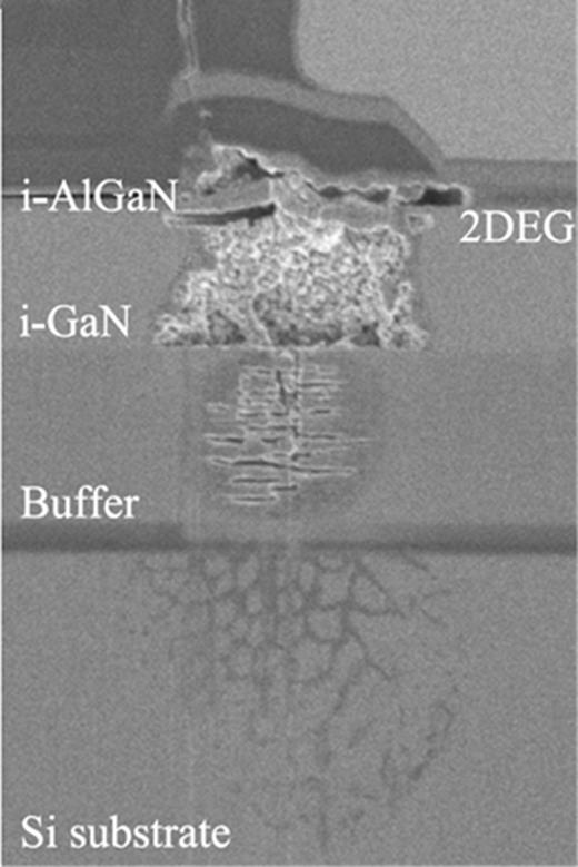 Radiation damage in GaN/AlGaN and SiC electronic and photonic devices ...