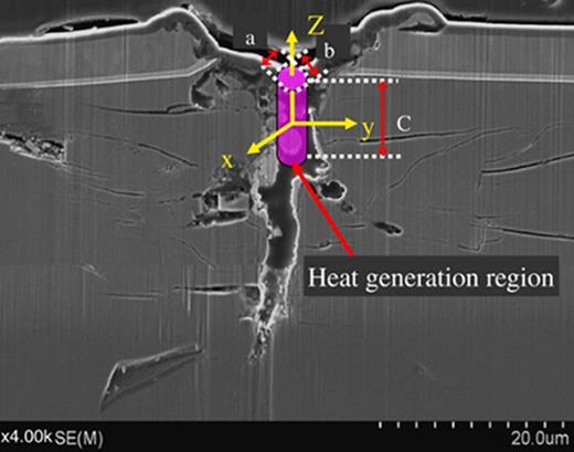 Radiation damage in GaN/AlGaN and SiC electronic and photonic devices ...