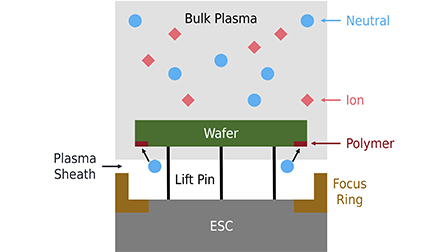 In situ plasma pin-up clean process for backside bevel polymer removal, defect reduction, and ...