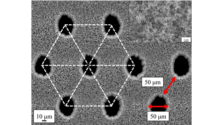 Honeycomb-shaped vertically aligned carbon nanotubes decorated with ...