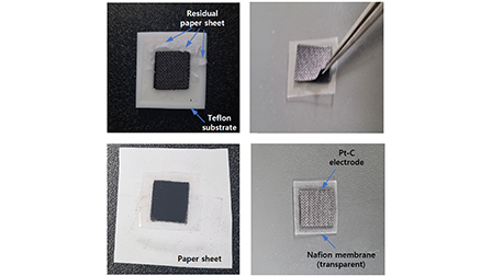 Membrane-electrode junction properties for optimum potentiometric ...