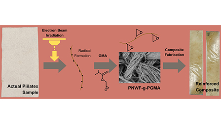 Effect of radiation-induced graft polymerization onto pineapple ...