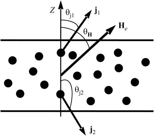 Equilibrium magnetization of a nanogranular magnetic film with ...