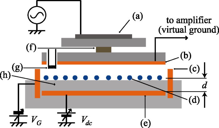 Oscillation mode transformation of edge magnetoplasmons in two ... Oscillation mode transformation of edge magnetoplasmons in two ...