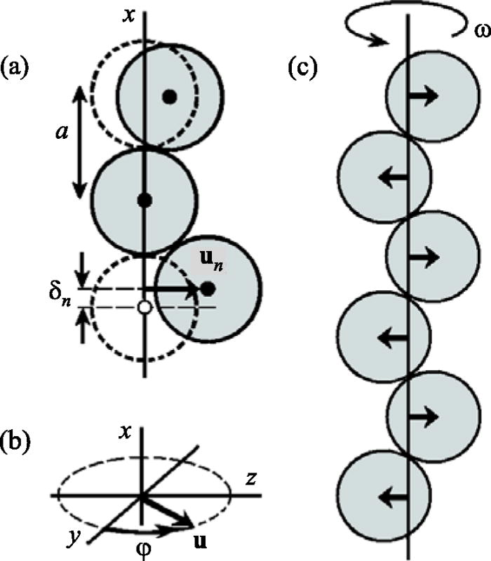 Nonlinear dynamics and solitons of a chain with spherical magnetic ...