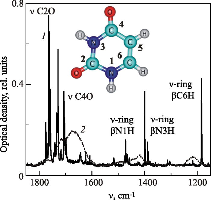 Enhancement of infrared absorption of low-temperature uracil thin films ...