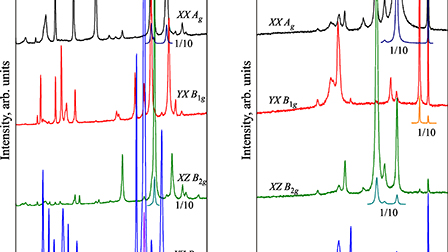 Raman scattering study of the structural phase transition in single ...