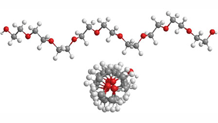 Investigation of relaxation processes and phase transition in the ...