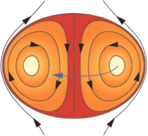 Compact magnetic confinement fusion: Spherical torus and compact torus ...