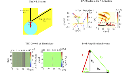 Two-plasmon-decay instability stimulated by dual laser beams in ...