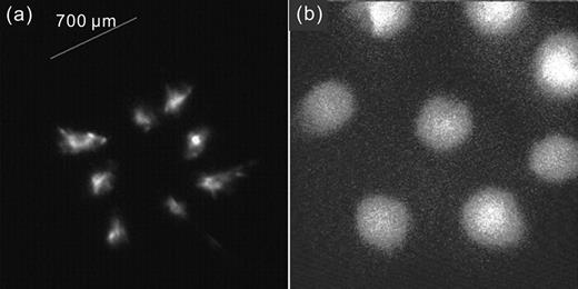 Laser performance upgrade for precise ICF experiment in SG-Ⅲ laser ...