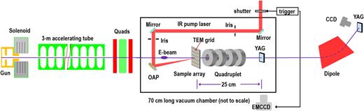 Visualizing the melting processes in ultrashort intense laser triggered ...