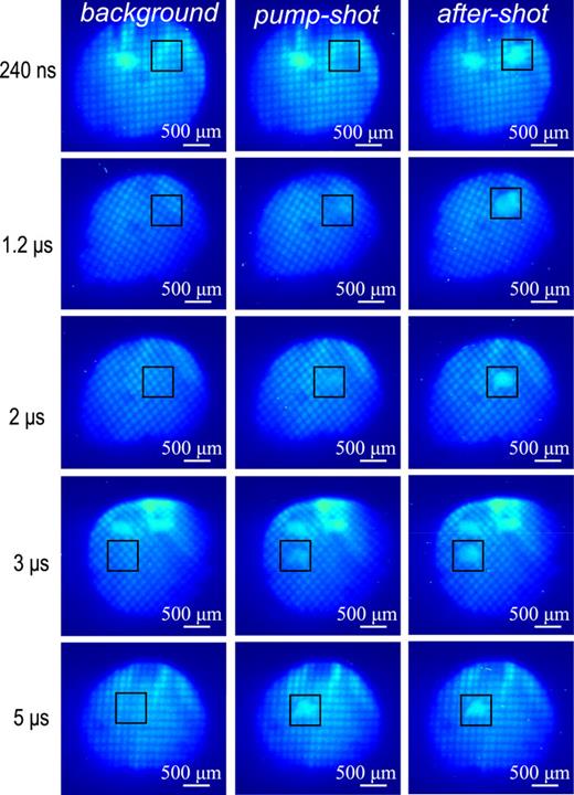 Visualizing the melting processes in ultrashort intense laser triggered ...